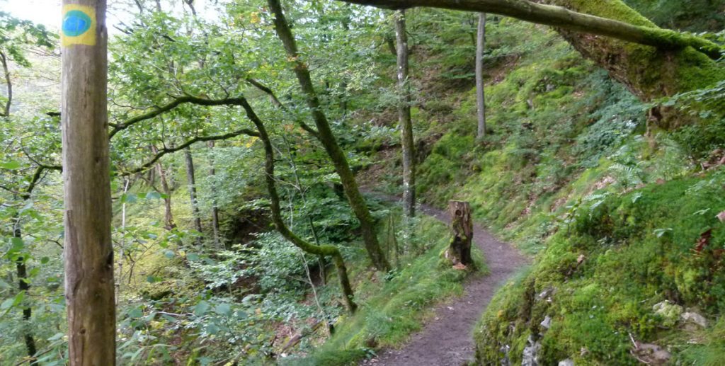 Eifelsteig ️ Schönste Etappe? ️ Tipps & Empfehlungen