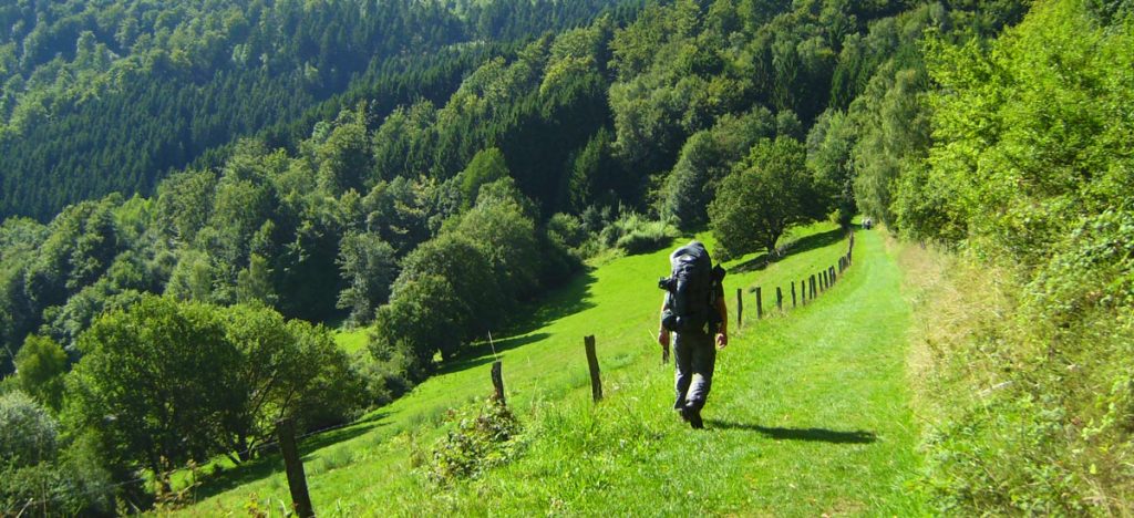Auf dem Eifelsteig allein unterwegs ️ Pro und... kein Contra